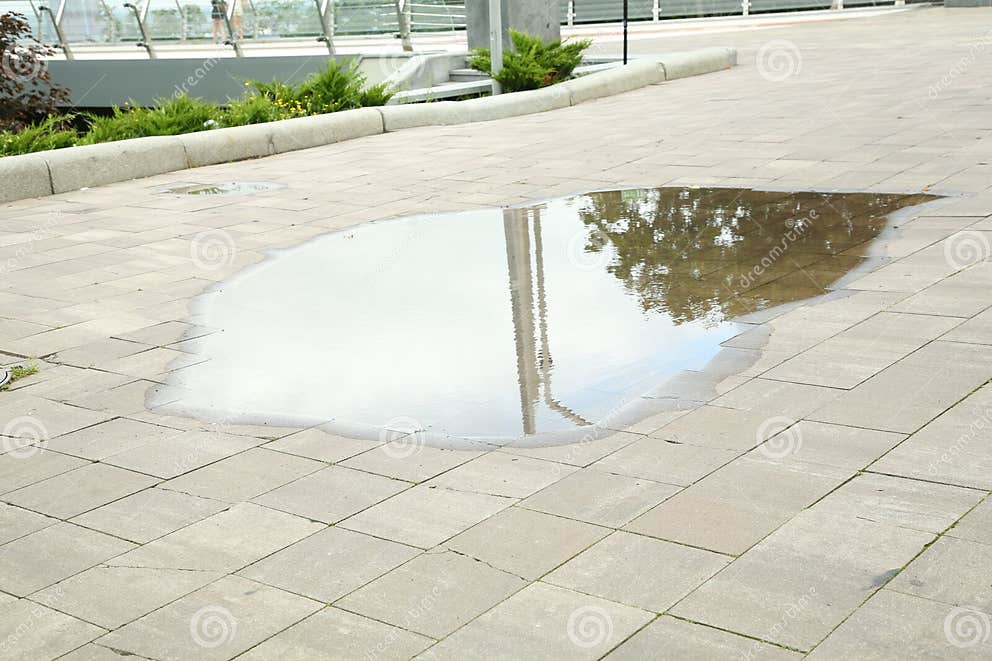 Puddle of Rain Water on Paved Pathway Outdoors Stock Photo - Image of ...