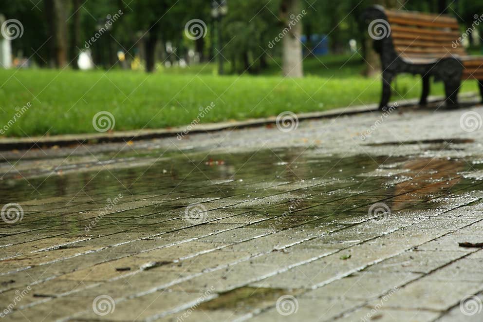 Puddle of Rain Water on Paved Pathway in Park Stock Image - Image of ...