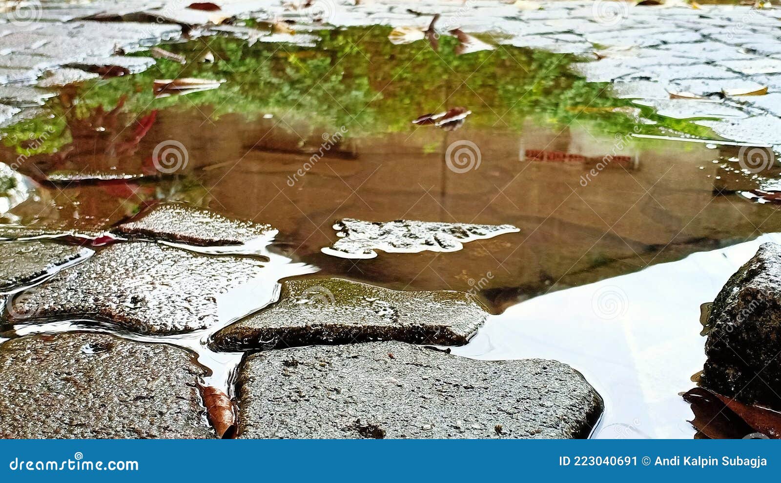 Puddle of rain in the yard stock image. Image of yard - 223040691