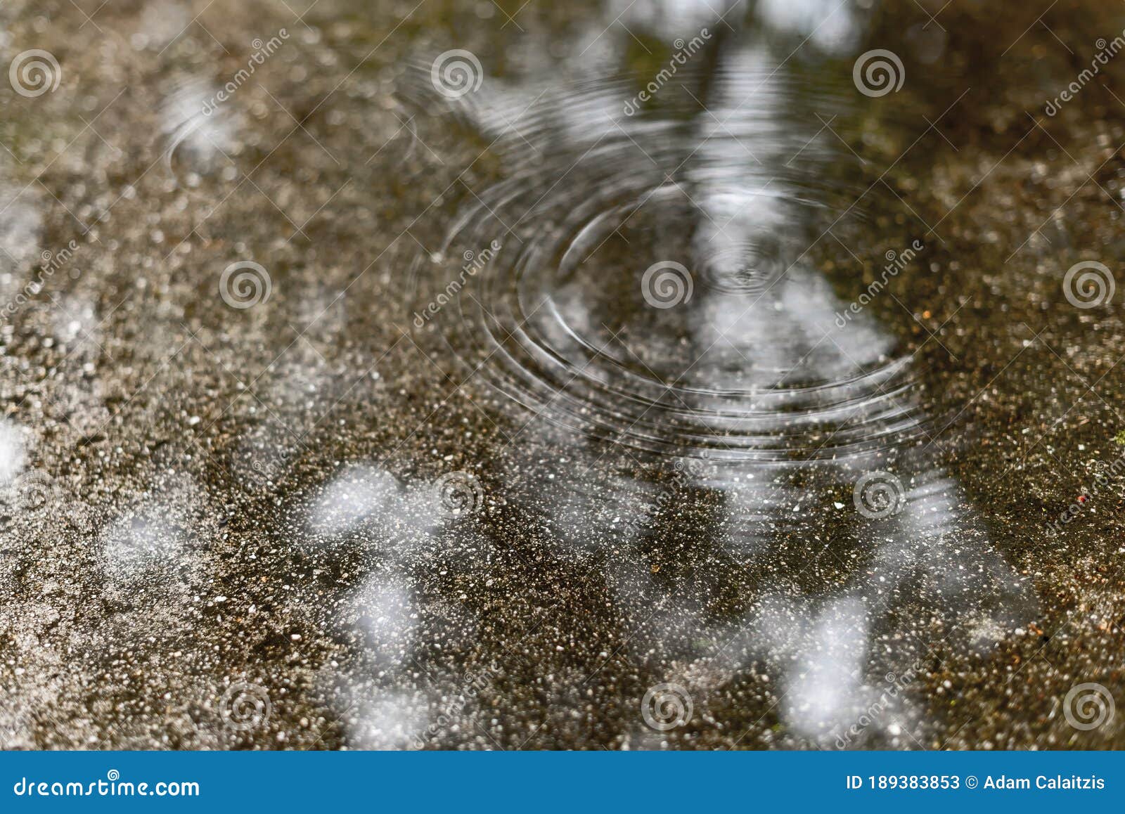 A puddle with raindrops stock image. Image of background - 189383853