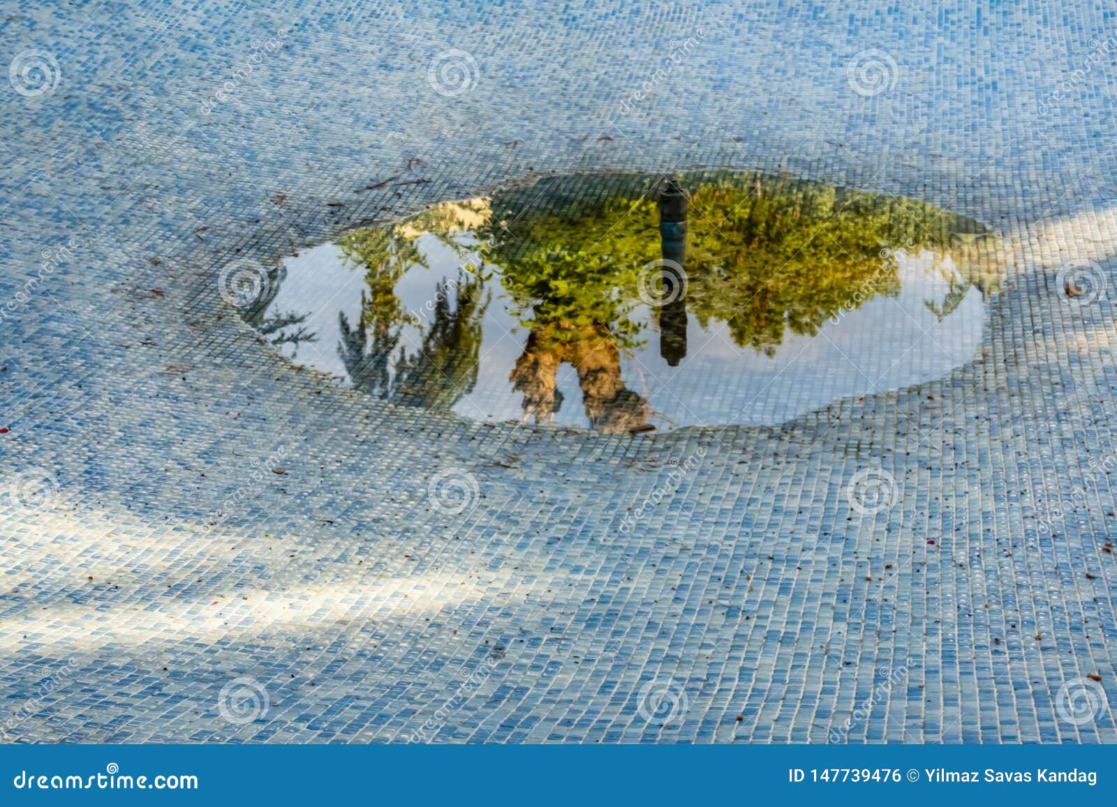 Puddle and Reflection in Ornamental Pool Stock Photo - Image of liquid ...