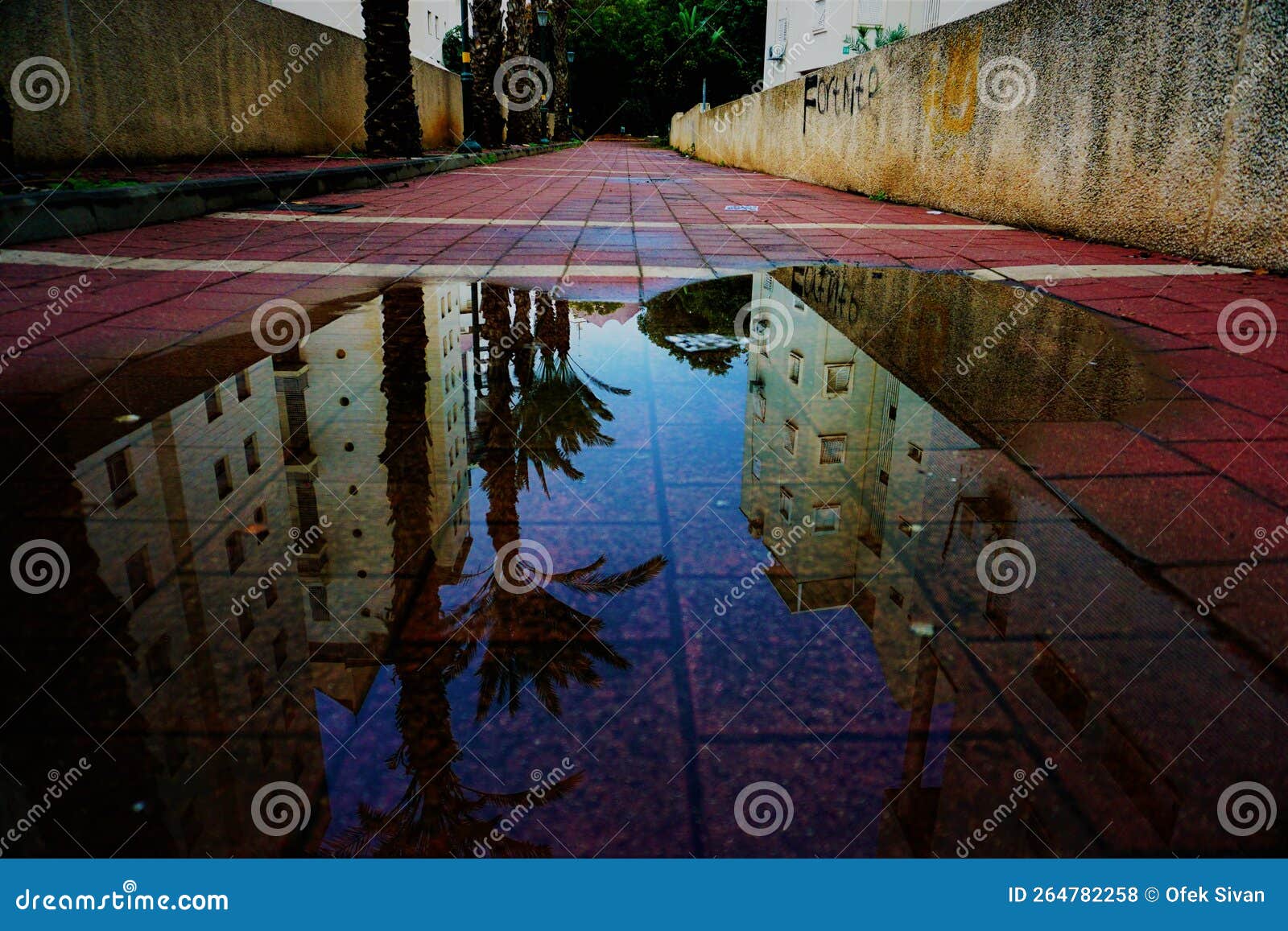 Puddle Reflection after the Rain Stock Photo - Image of morning, blue ...