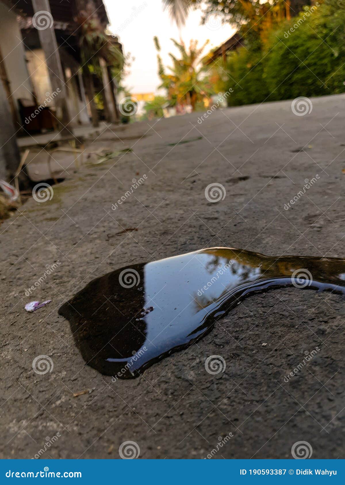 This is a Puddle on the Road Stock Image - Image of puddle, leaf: 190593387