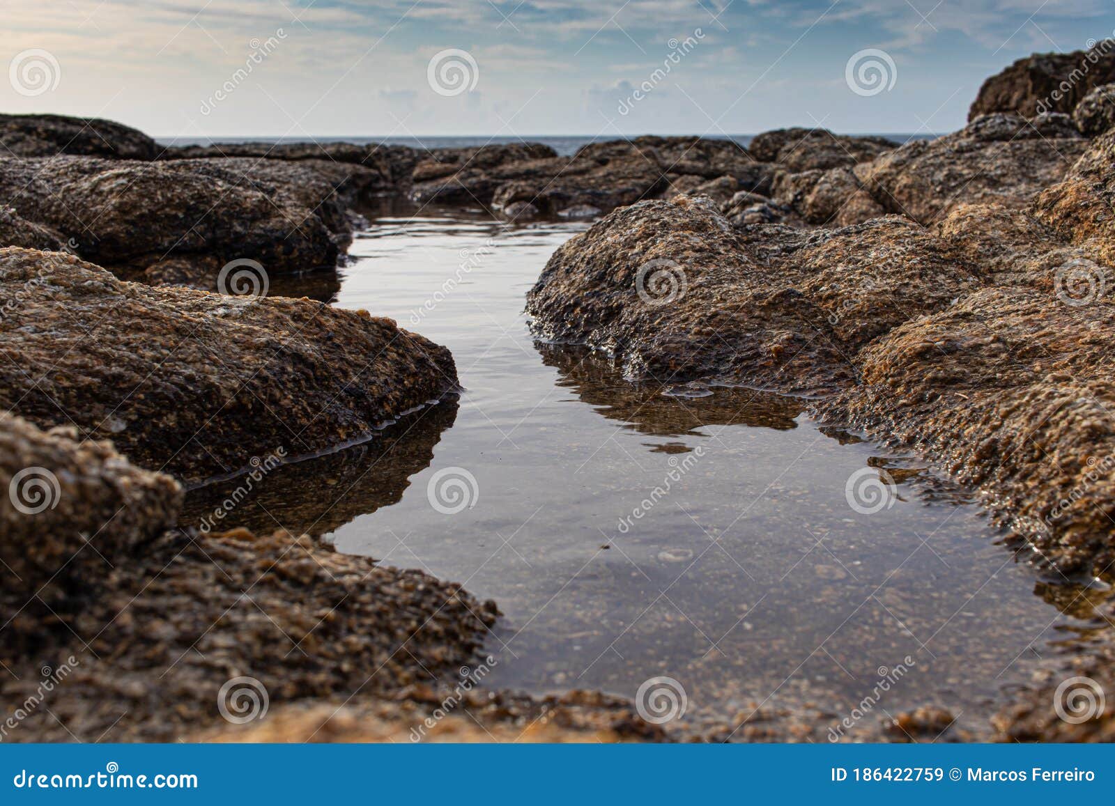 Puddle between the Rocks, Atlantic Coast Stock Image - Image of ...