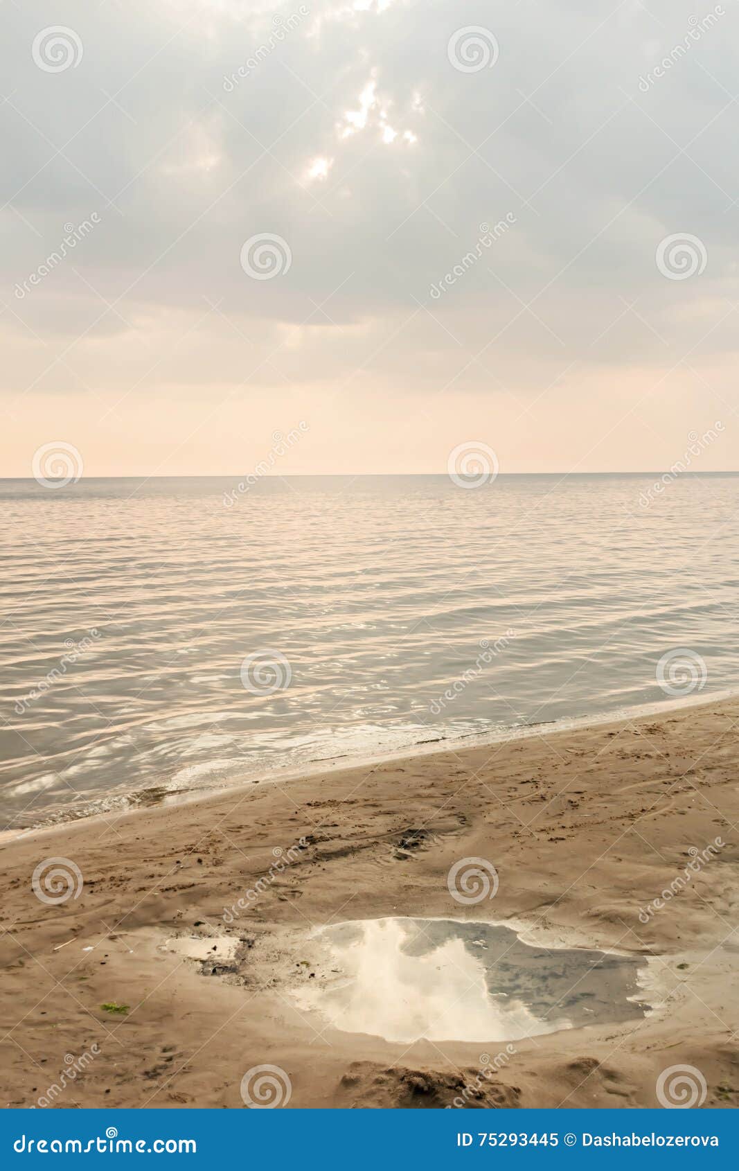 Puddle in sand on seashore stock image. Image of seashore - 75293445