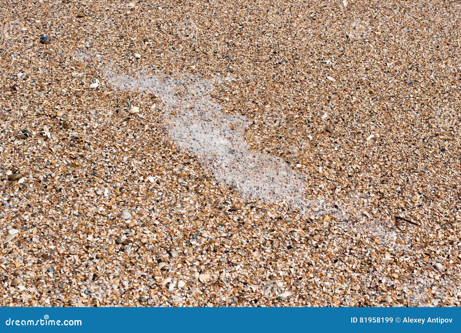 Puddle on shell beach stock image. Image of seashore - 81958199