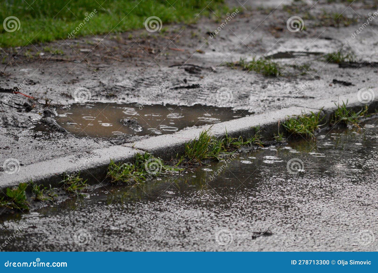 Puddle by the Side of the Road in the Rain Stock Photo - Image of river ...