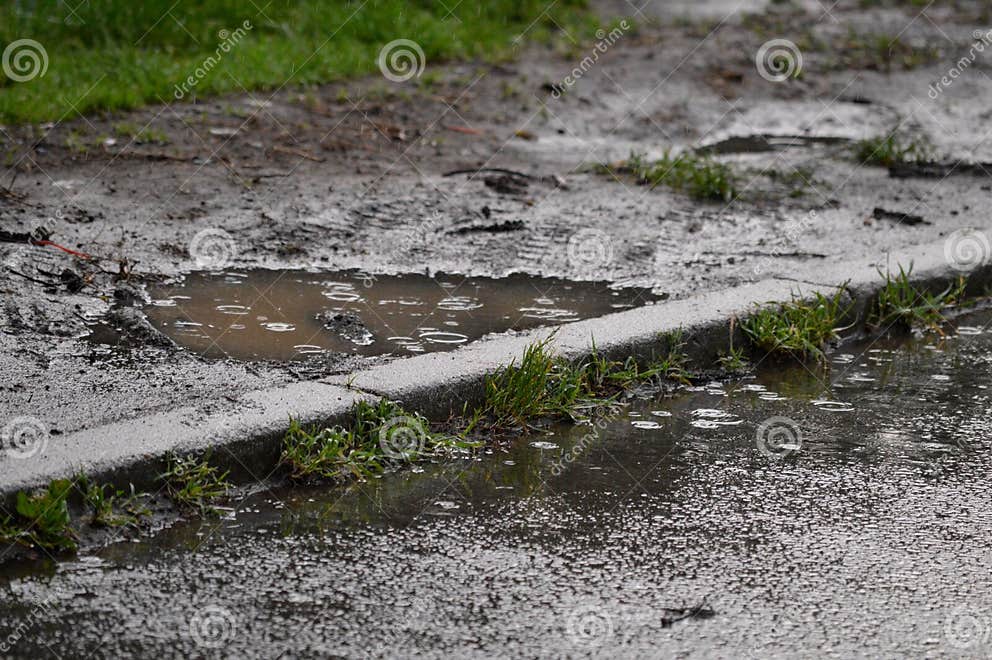 Puddle by the Side of the Road in the Rain Stock Photo - Image of river ...