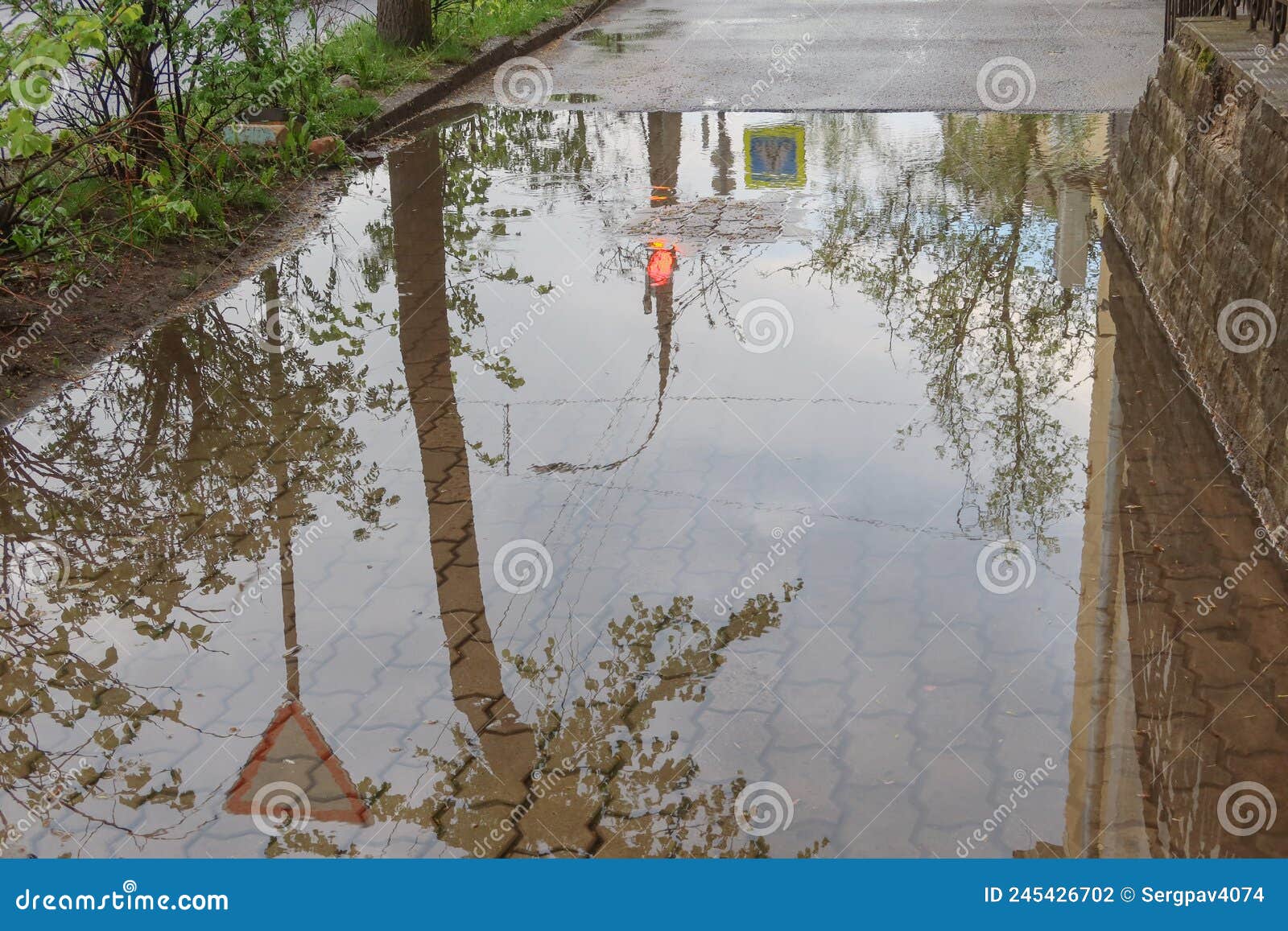 Puddle on Sidewalk after Heavy Rain Stock Photo - Image of tree ...