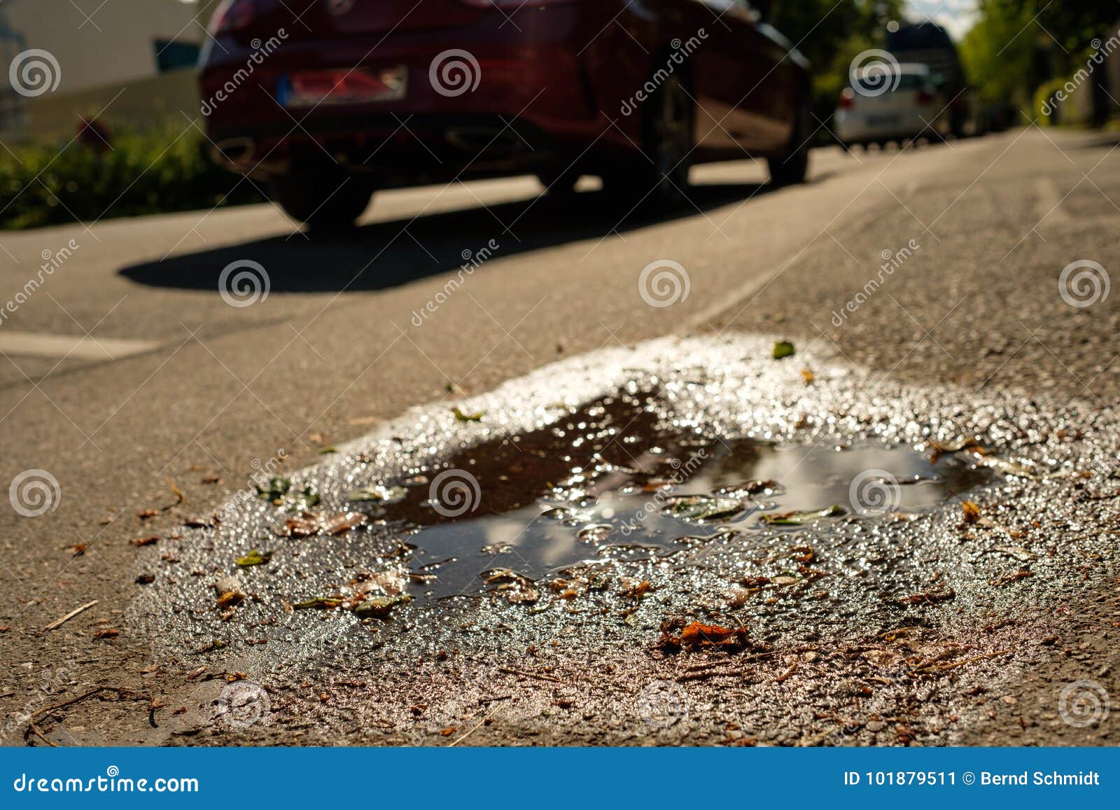 Puddle on a Sidewalk with Leaves in Water Stock Image - Image of park ...