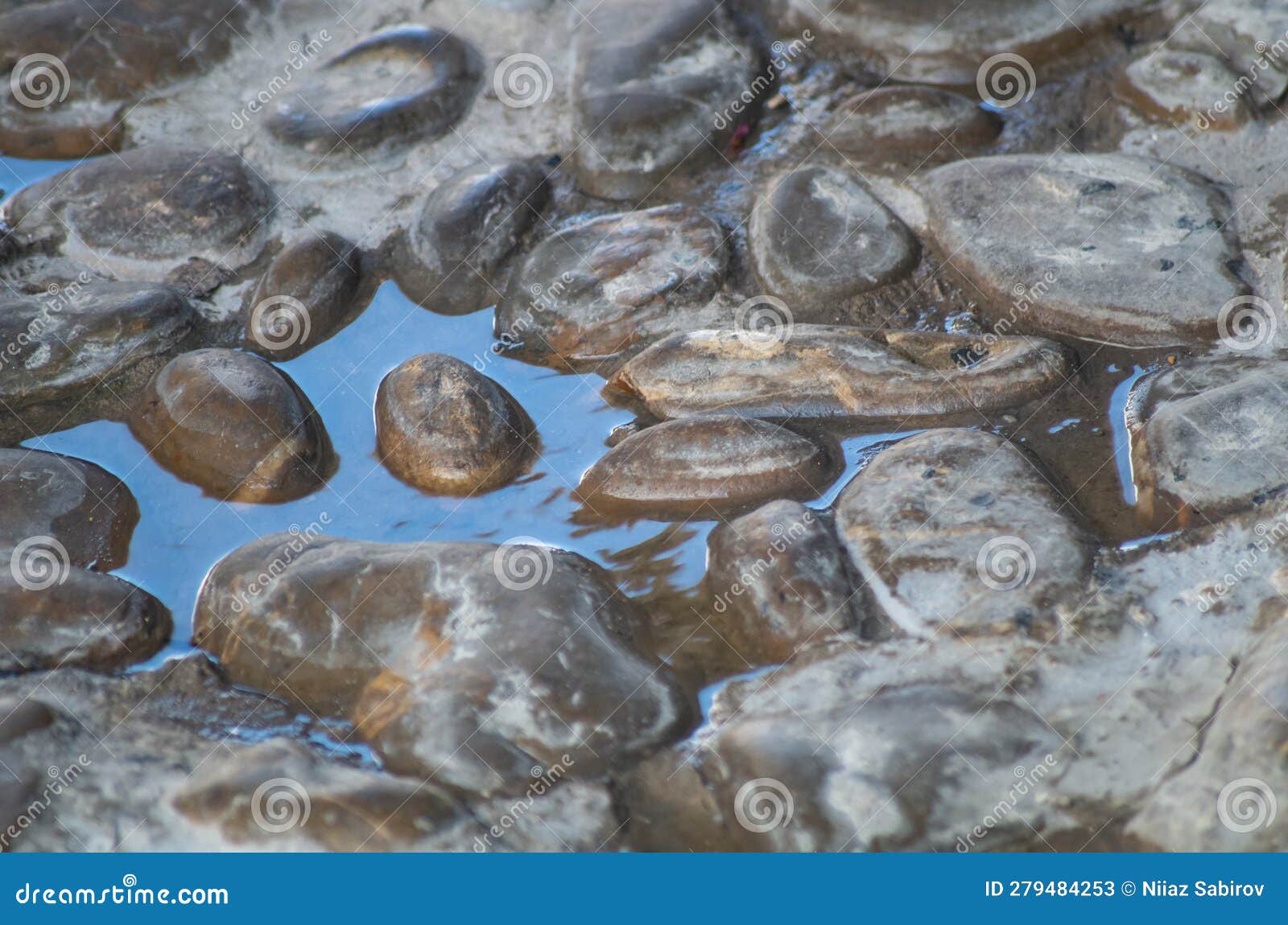 A Puddle on the Sidewalk, Which is Lined with Smooth Large Pebbles ...
