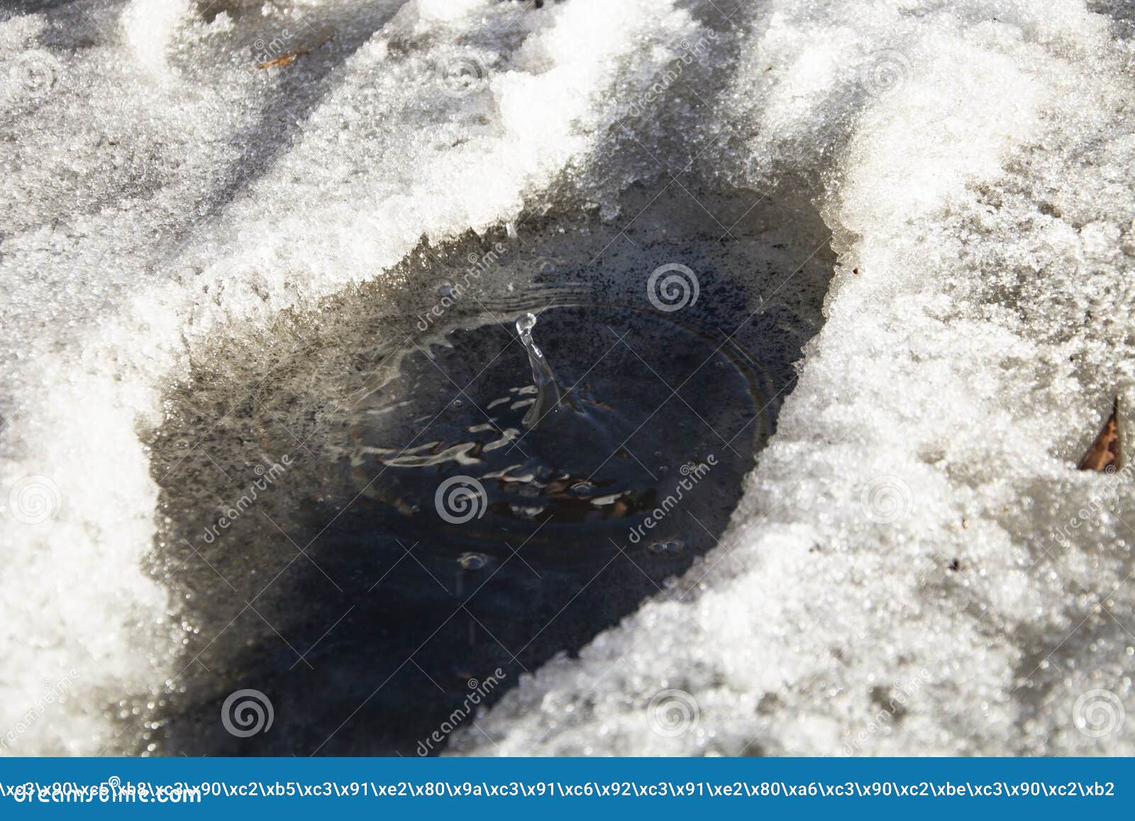 A Puddle in the Snow in Which a Drop Fell. Stock Photo - Image of holds ...