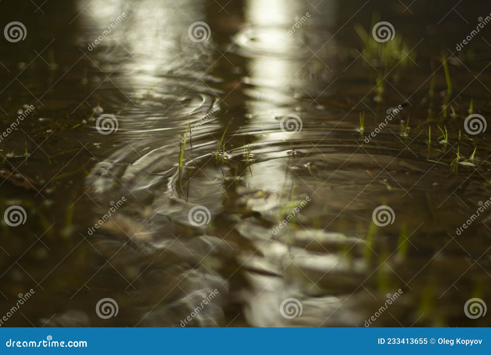 Puddle in Spring. Circles on the Water Stock Image - Image of liquid ...