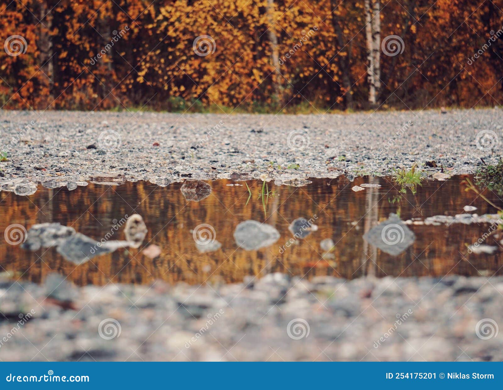 Puddle at the Street during Autumn Stock Image - Image of water, nature ...