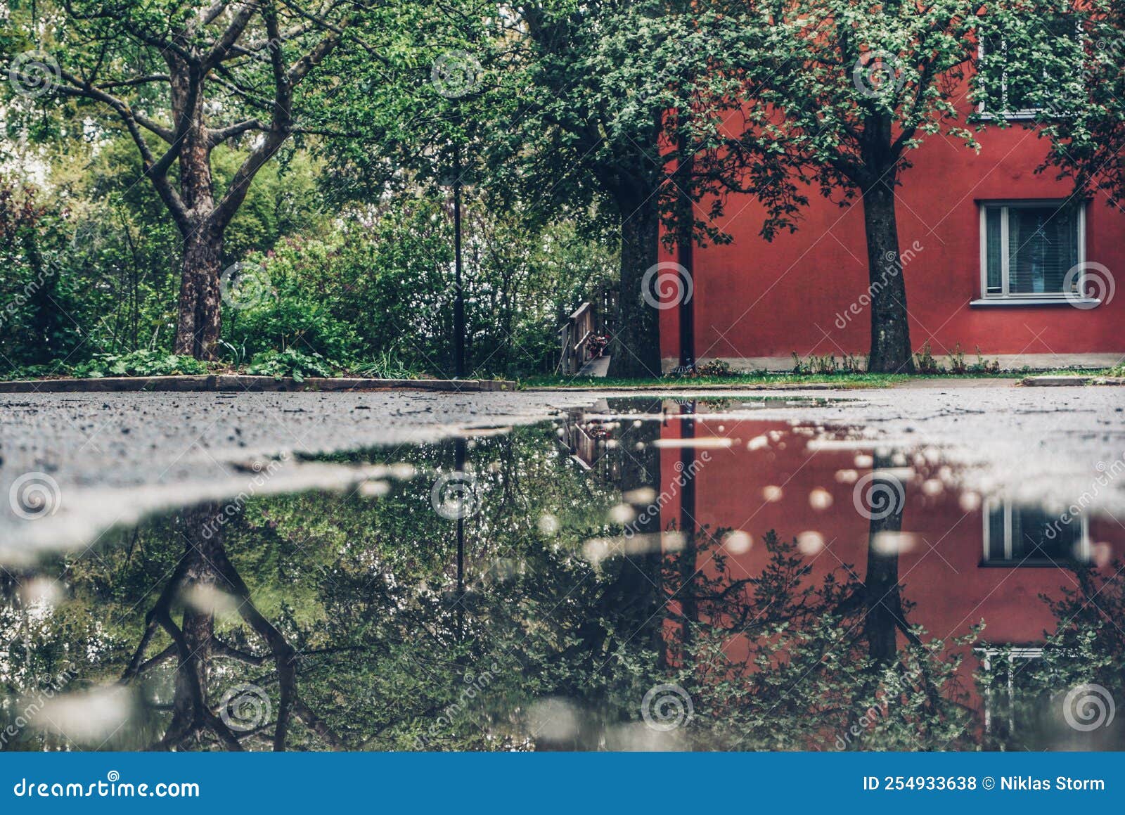 Puddle on Street Next To Building Stock Photo - Image of tree ...