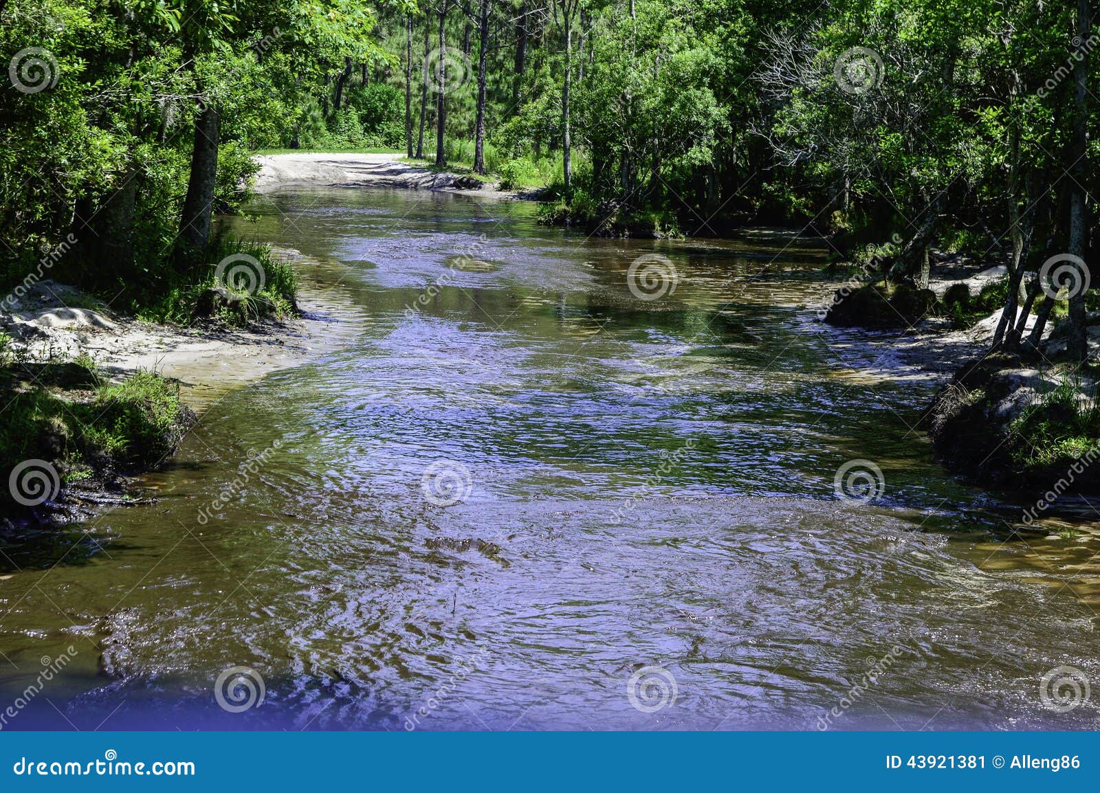 Puddle stock image. Image of water, florida, lsrge, puddle - 43921381