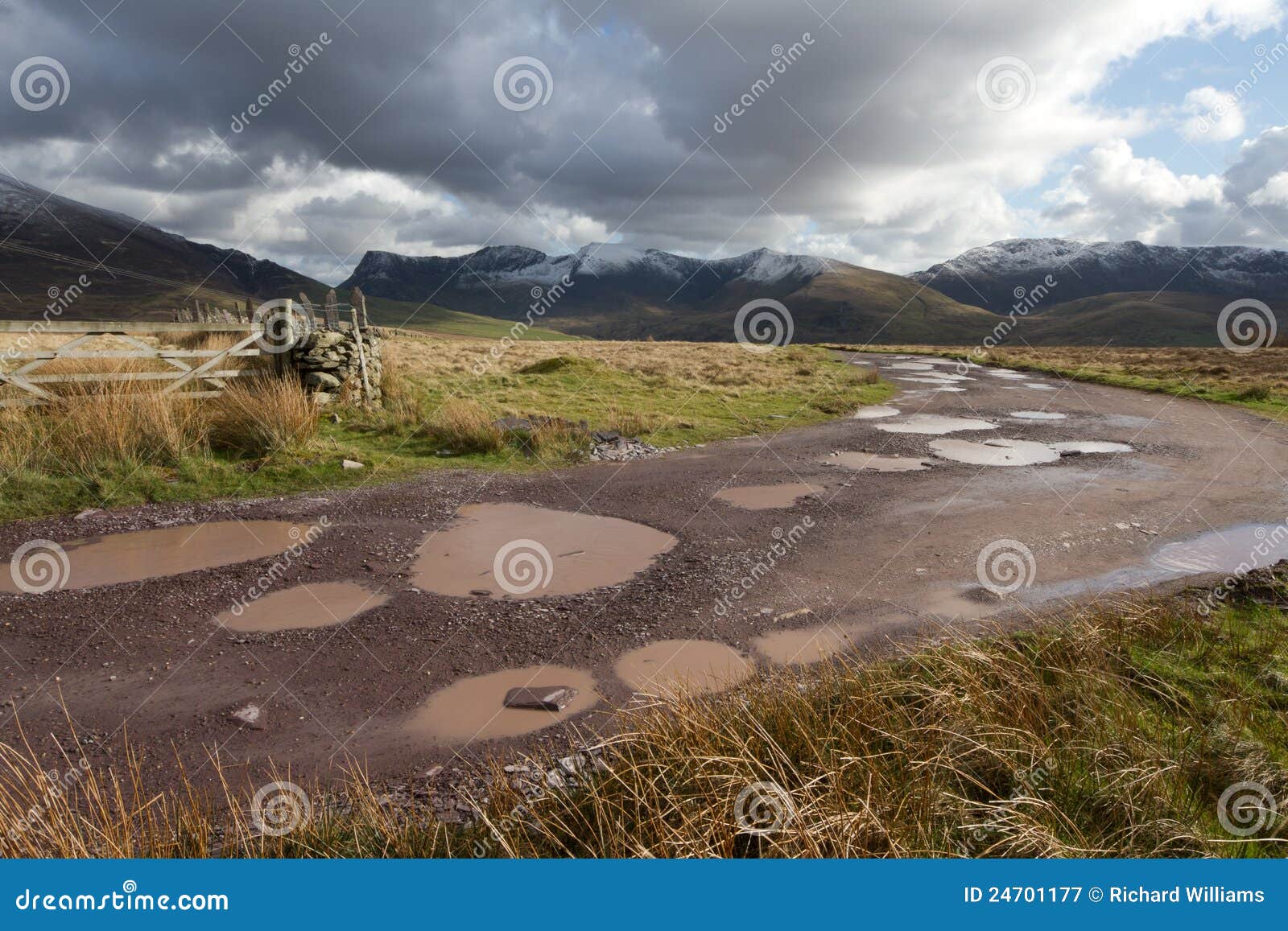 Puddle track. stock image. Image of cloud, track, park - 24701177
