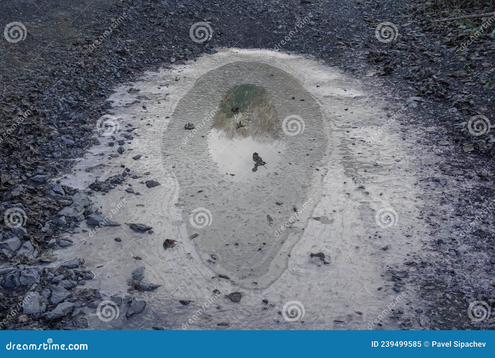 Puddle of Unusual Shape on the Ground Stock Image - Image of frosted ...