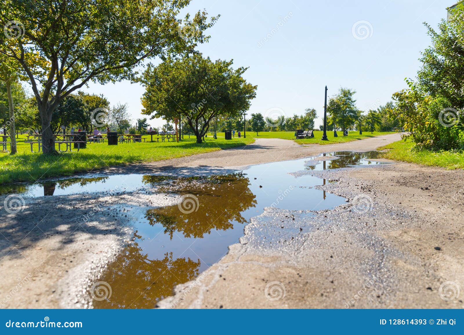 Puddle water in the garden stock image. Image of countryside - 128614393