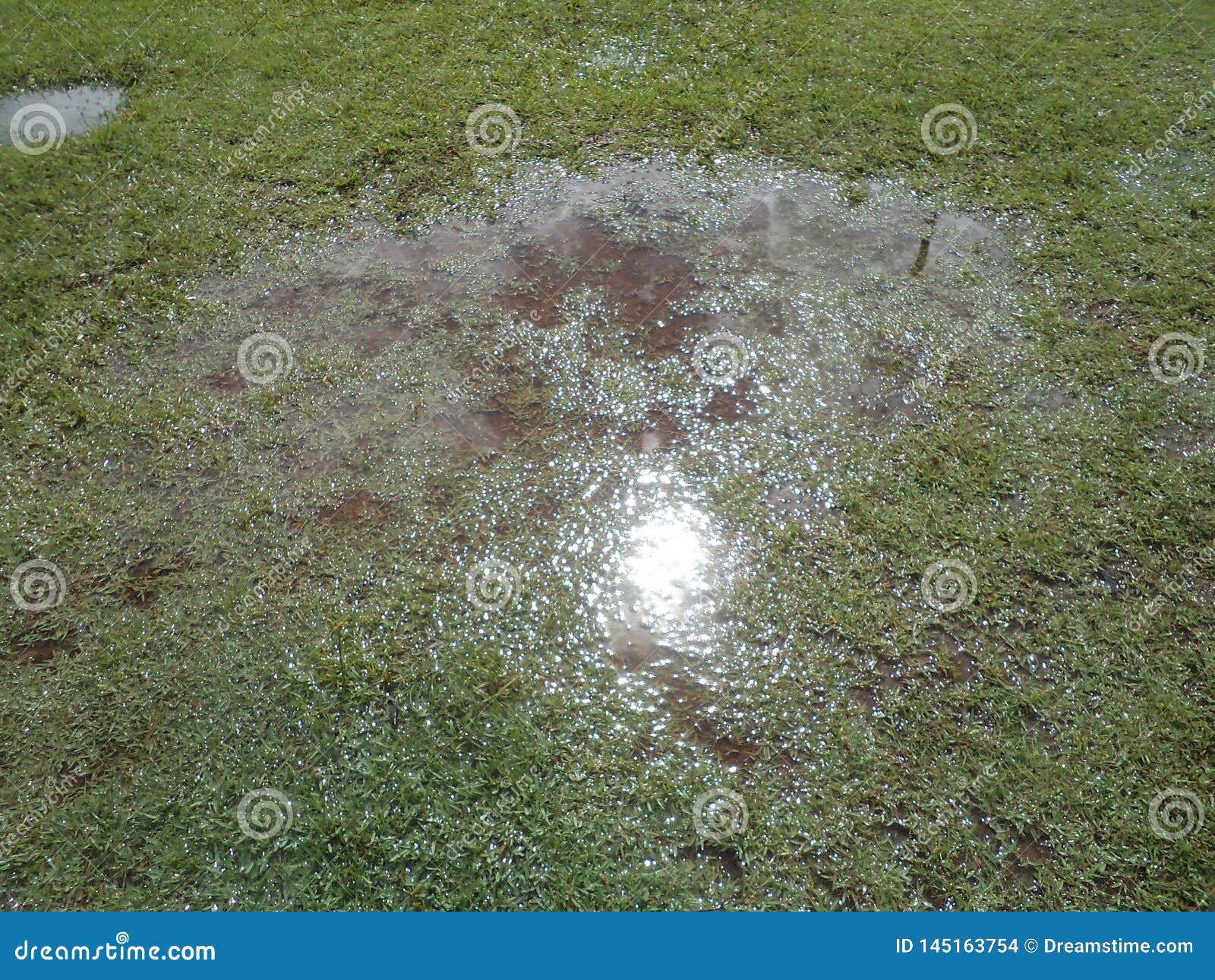 Puddle of Water on the Lawn Stock Photo - Image of rain, grass: 145163754