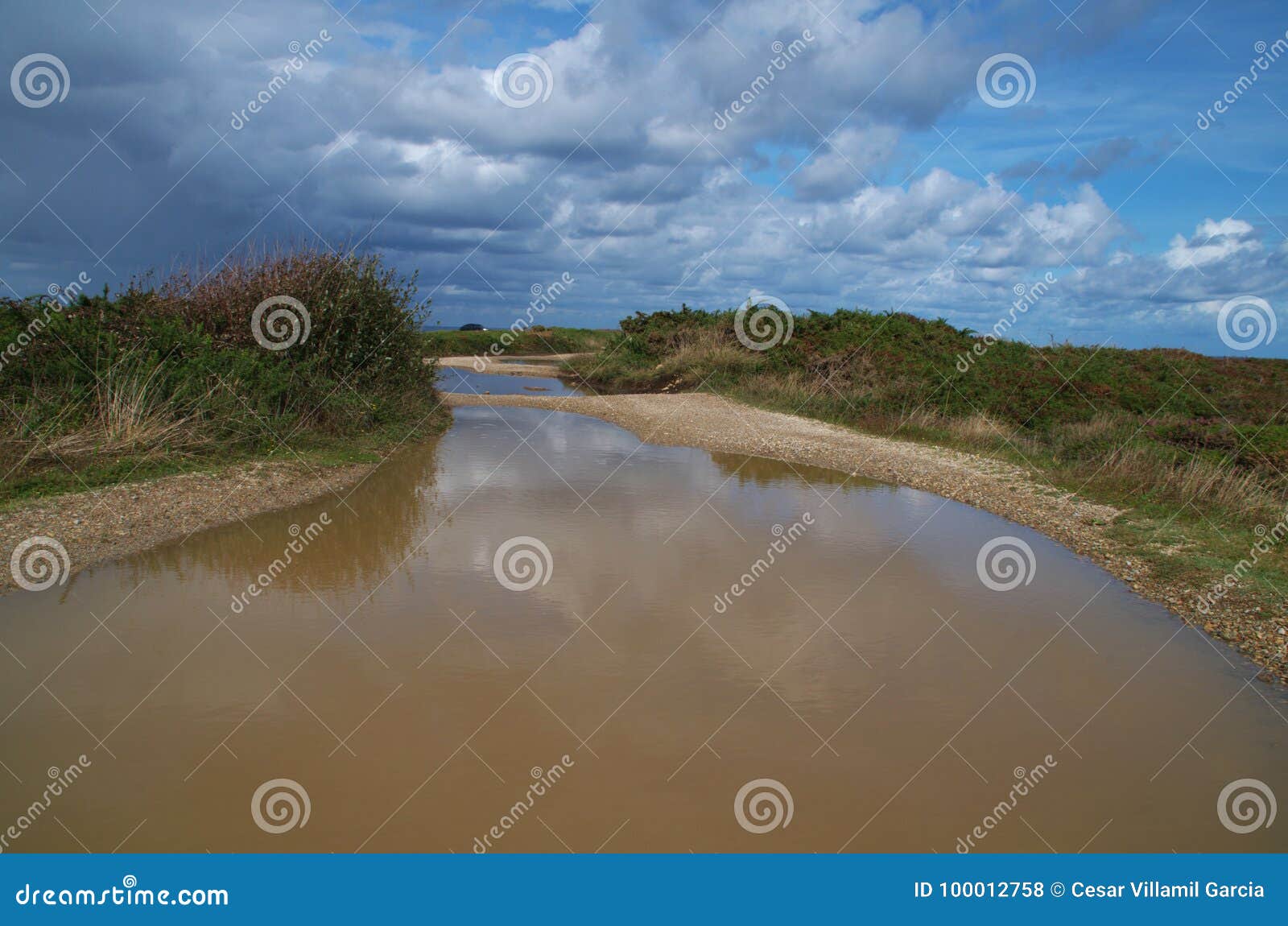 Puddle stock photo. Image of jump, puddle, rainy, jumping - 100012758