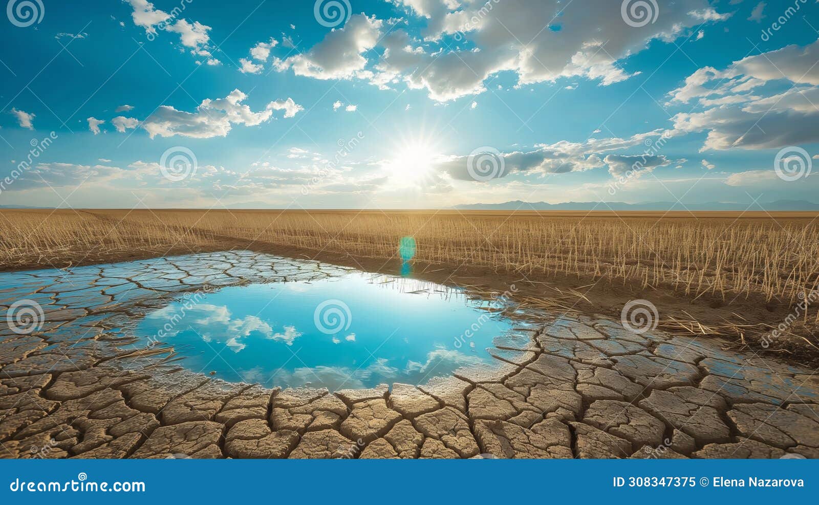 Puddle of Water in Parched Field with Cracked Soil. Drought, Climate ...
