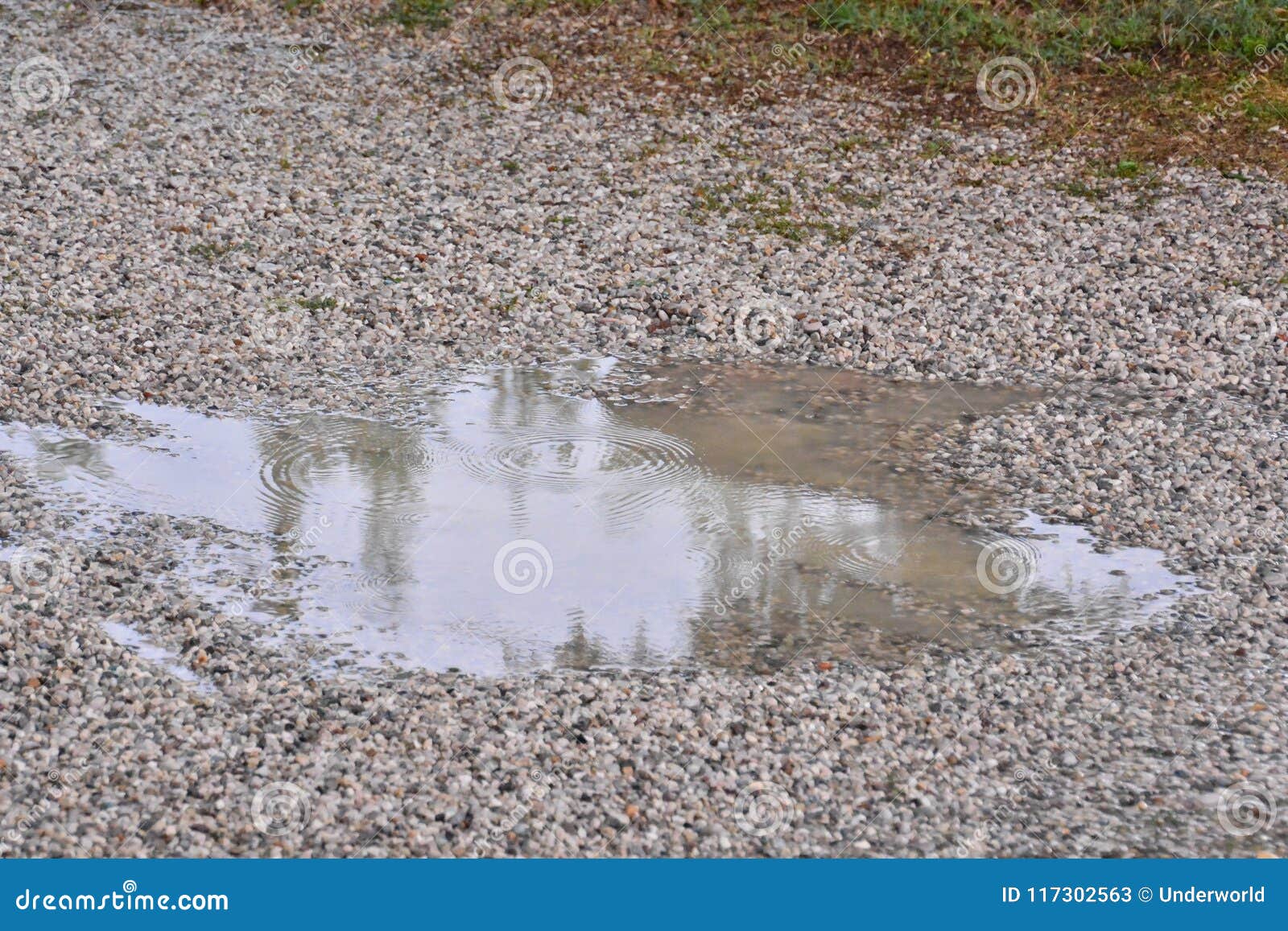 Puddle of Water and Raindrops Stock Image - Image of condensation ...