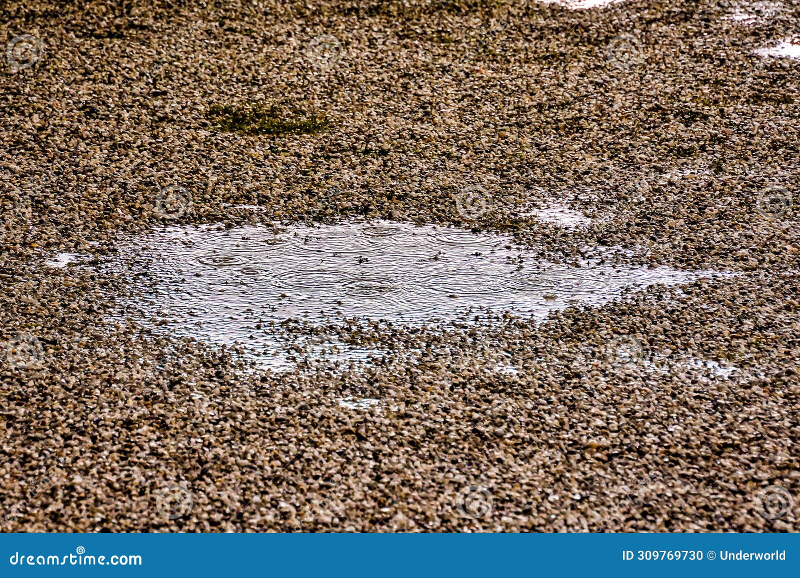 Puddle of Water and Raindrops Stock Photo - Image of city, storm: 309769730