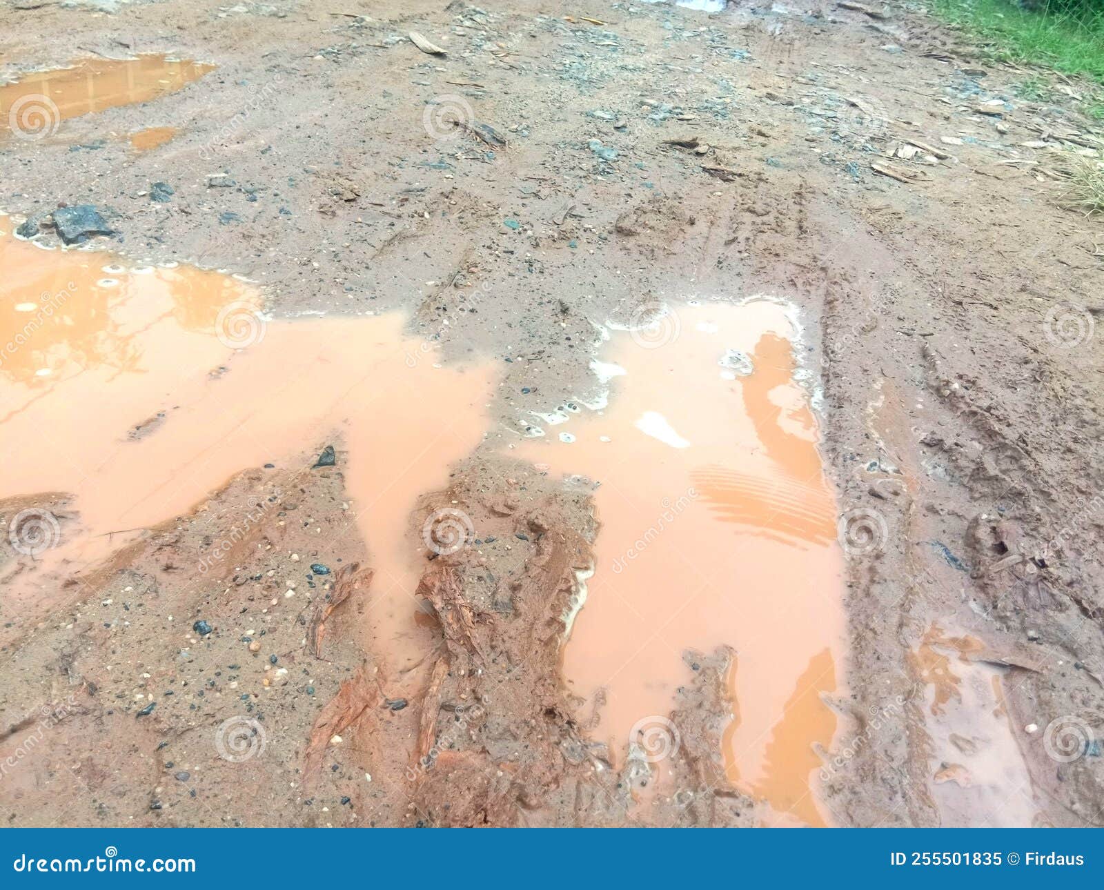 Puddle on red soil stock image. Image of brown, looks - 255501835