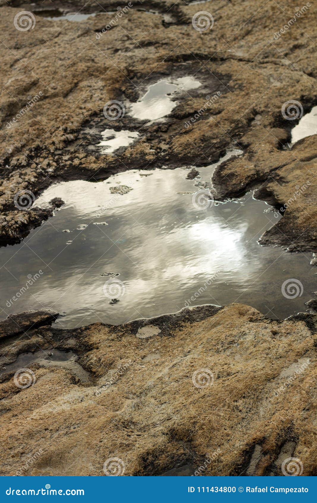 Puddle of Water Reflecting Sunshine on Rocks Stones on Brown Color ...
