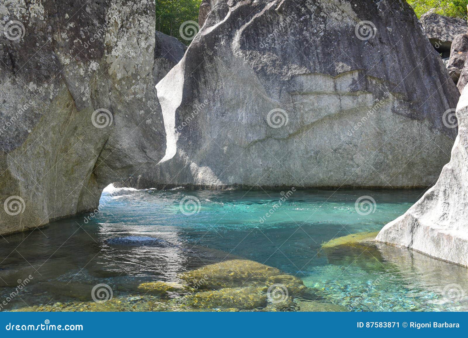 Puddle of Water on the River Stock Image - Image of surface, green ...