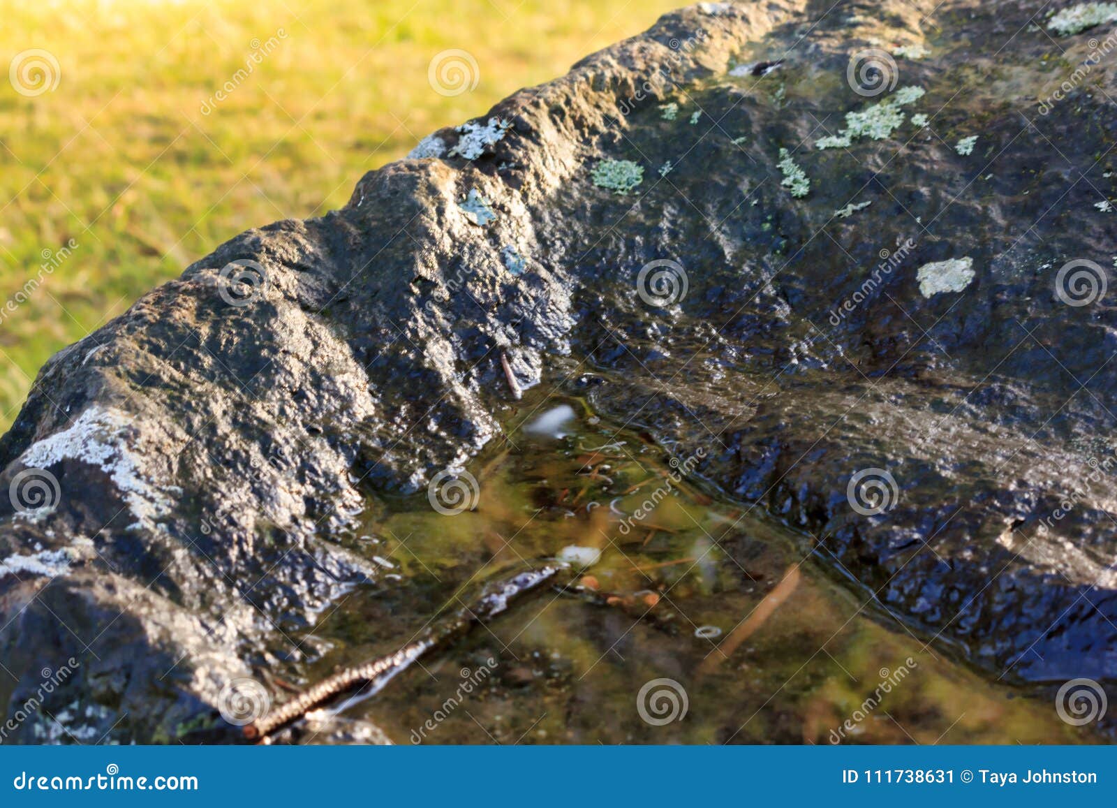Puddle in a rock with moss stock image. Image of growth - 111738631