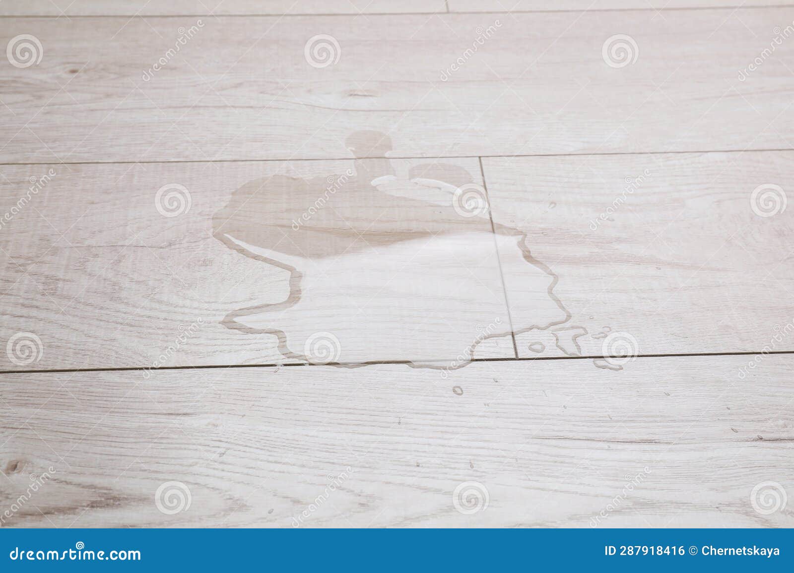 Puddle of Water on Wooden Floor, Closeup Stock Photo - Image of object ...