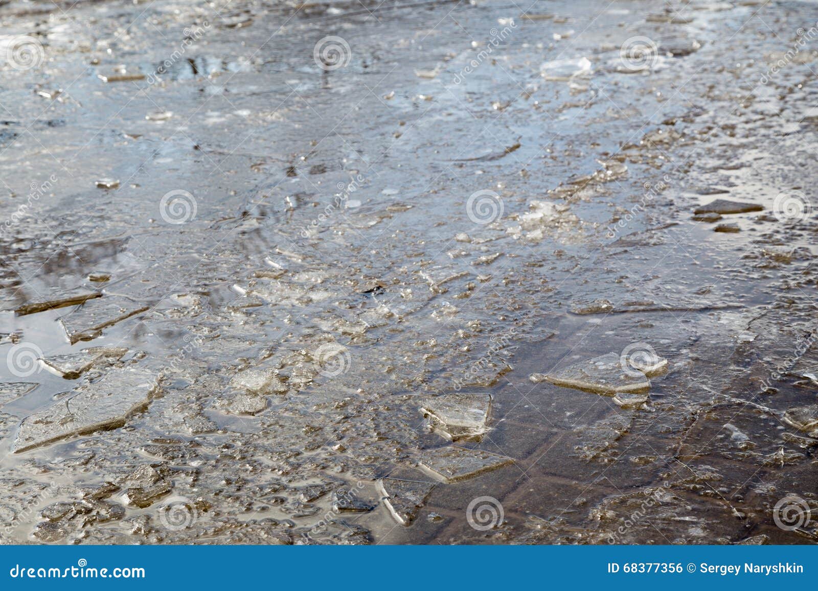 Puddles and chopped ice stock photo. Image of cracked - 68377356