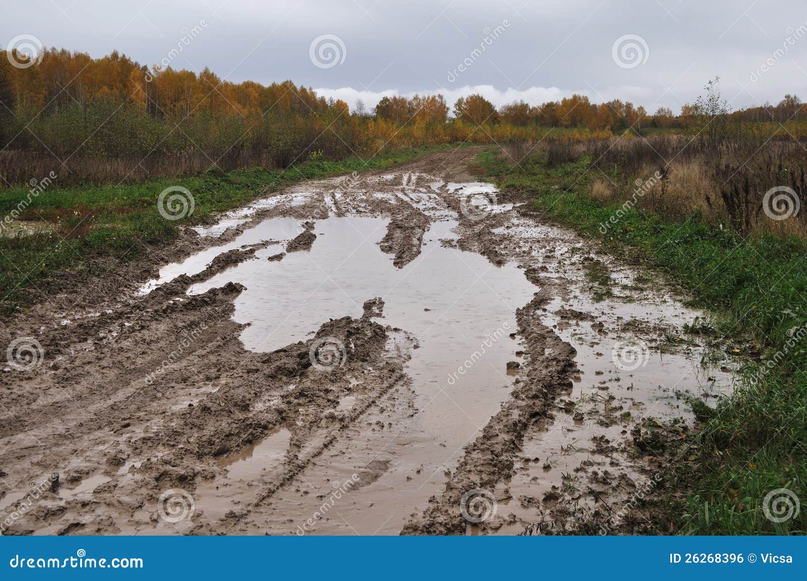 Puddles on the dirt road stock photo. Image of gray, countryside - 26268396