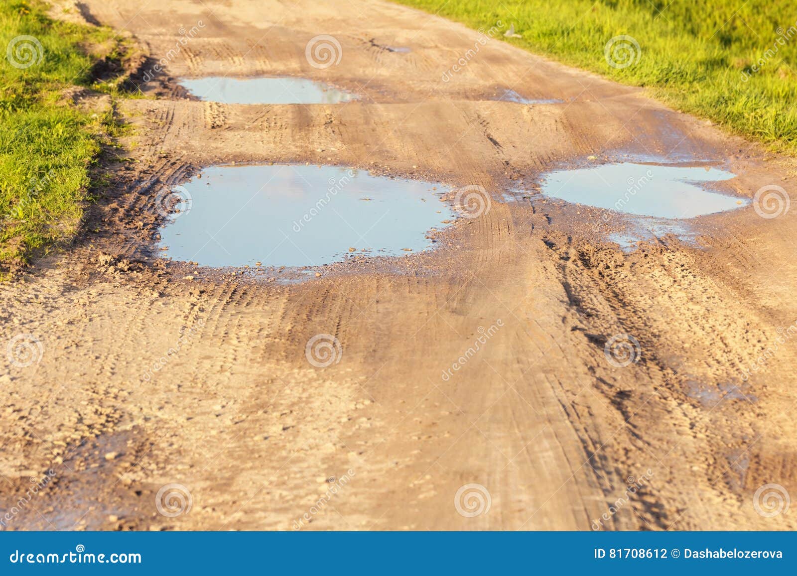 Puddles on dirt road stock photo. Image of nature, sunny - 81708612