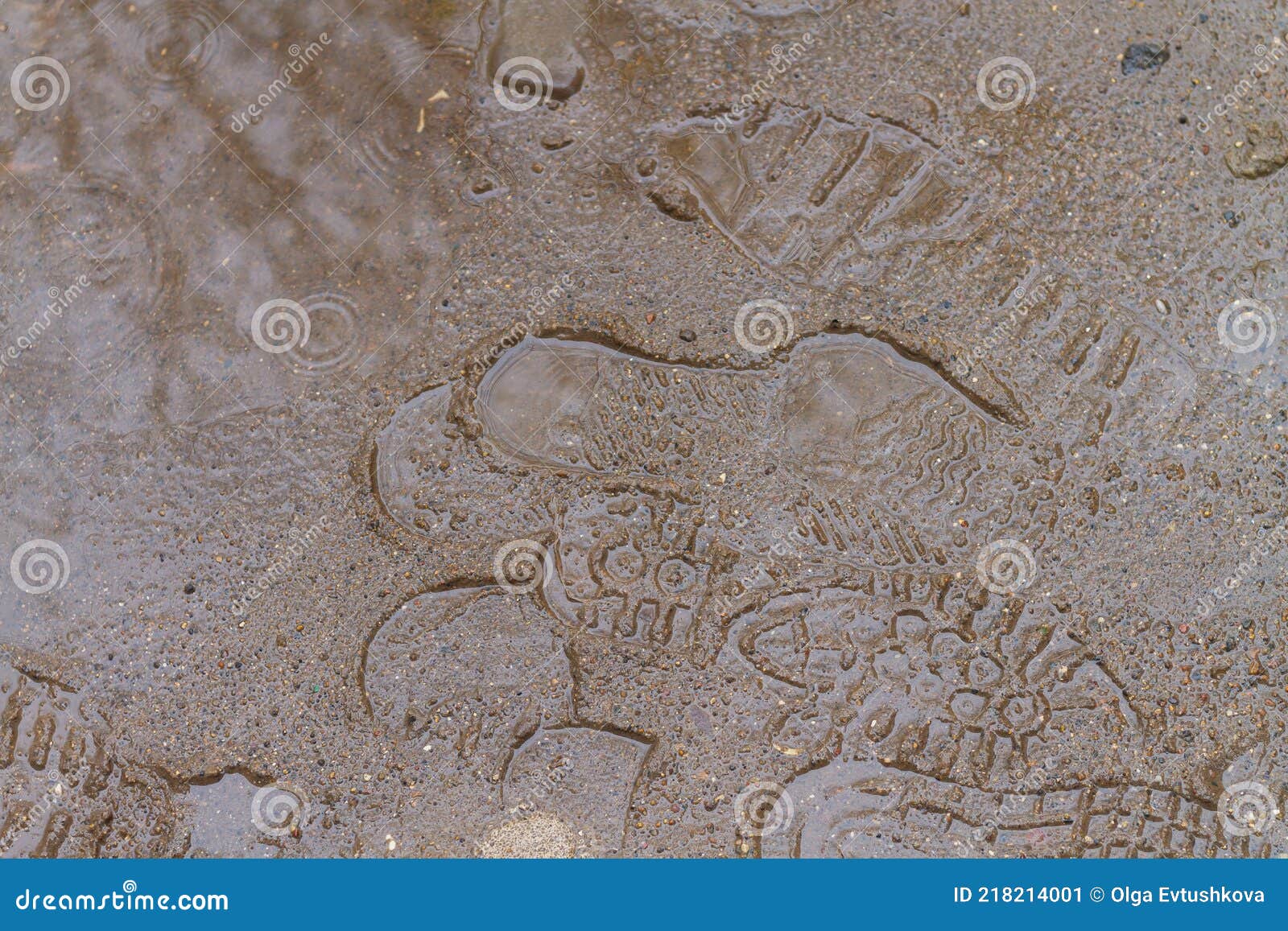 Puddles and Footprints on the Ground in the Rain Stock Image - Image of ...