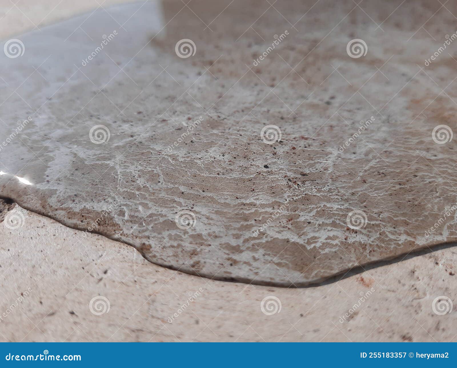 Puddles of Leftover Water Watering Plants Stock Image - Image of white ...