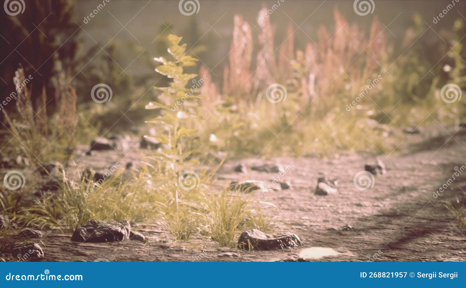 Puddles and Mud and Green Grass on a Dirt Road Stock Illustration ...