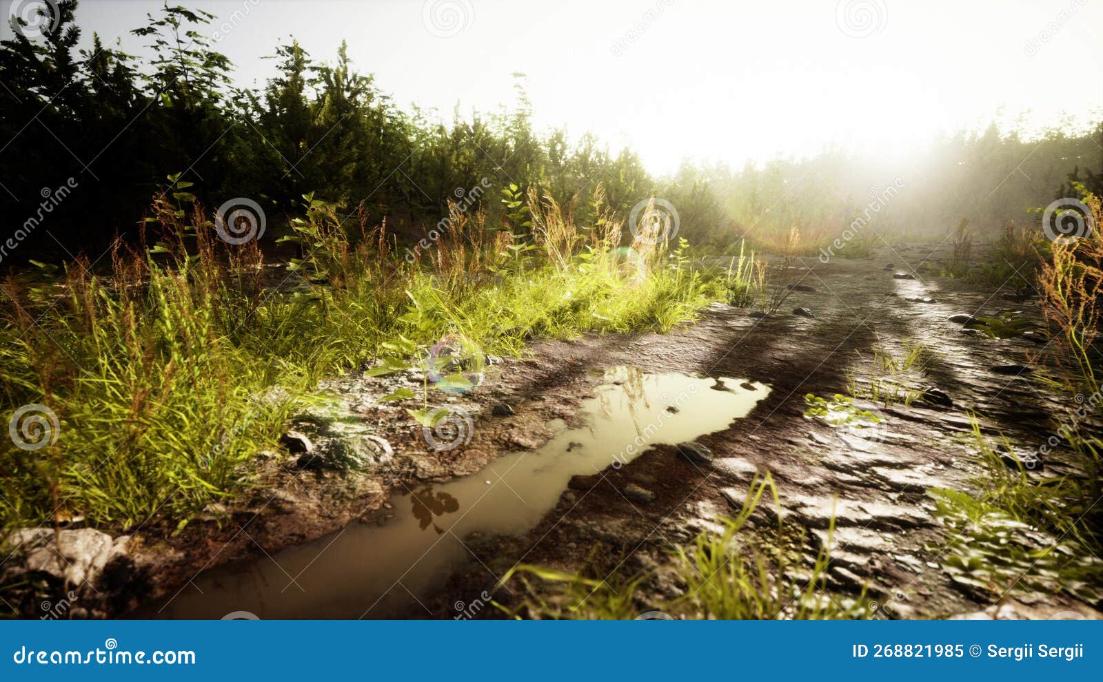 Puddles And Mud And Green Grass On A Dirt Road Stock Image ...