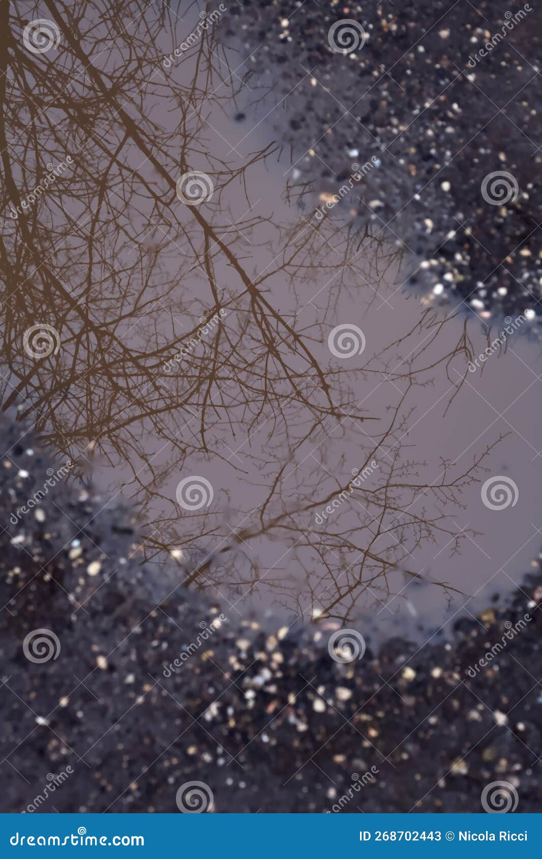 Puddles on a Path with Bare Trees Casted in the Water Stock Image ...