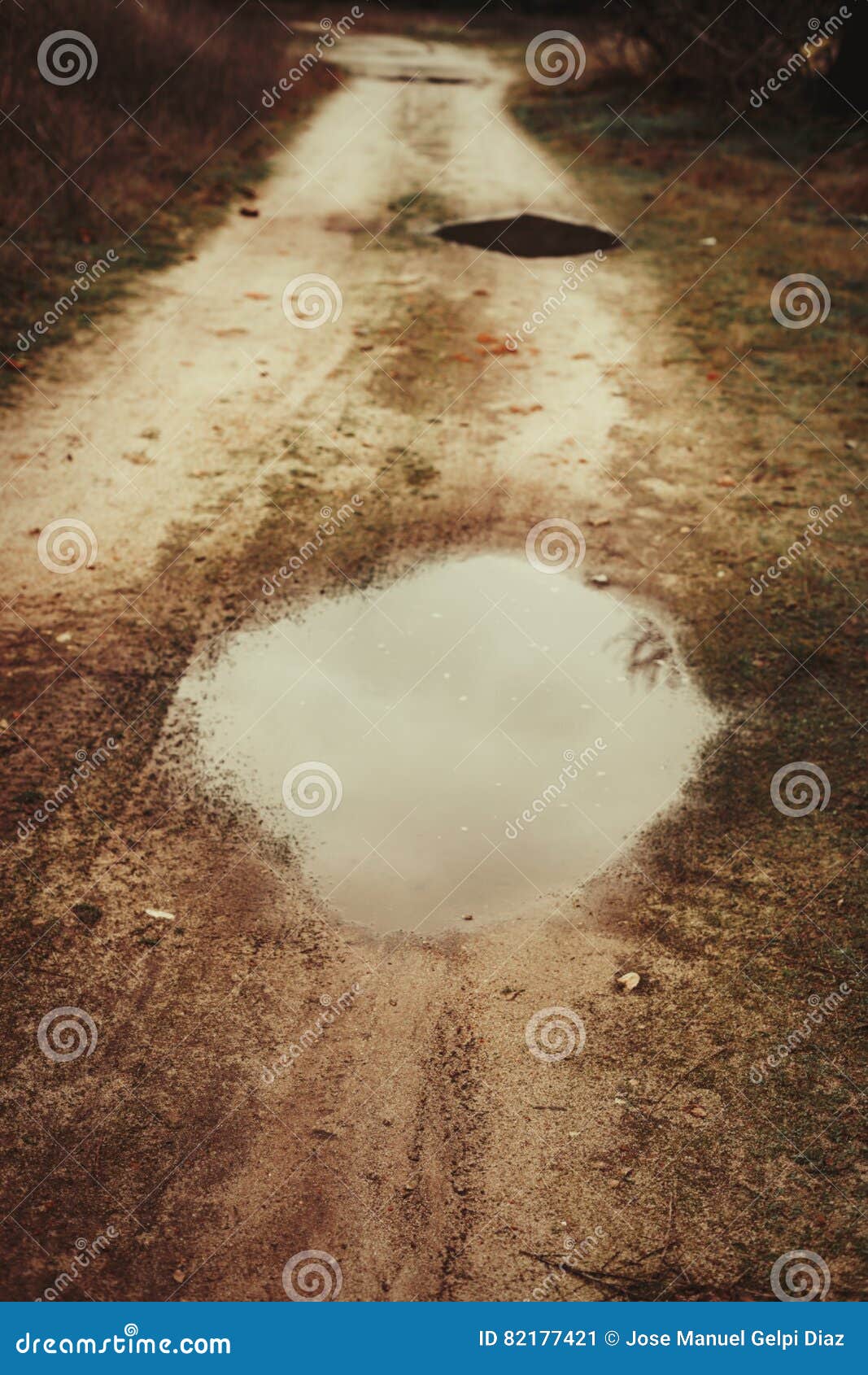 Puddles in the pathway stock image. Image of environment - 82177421