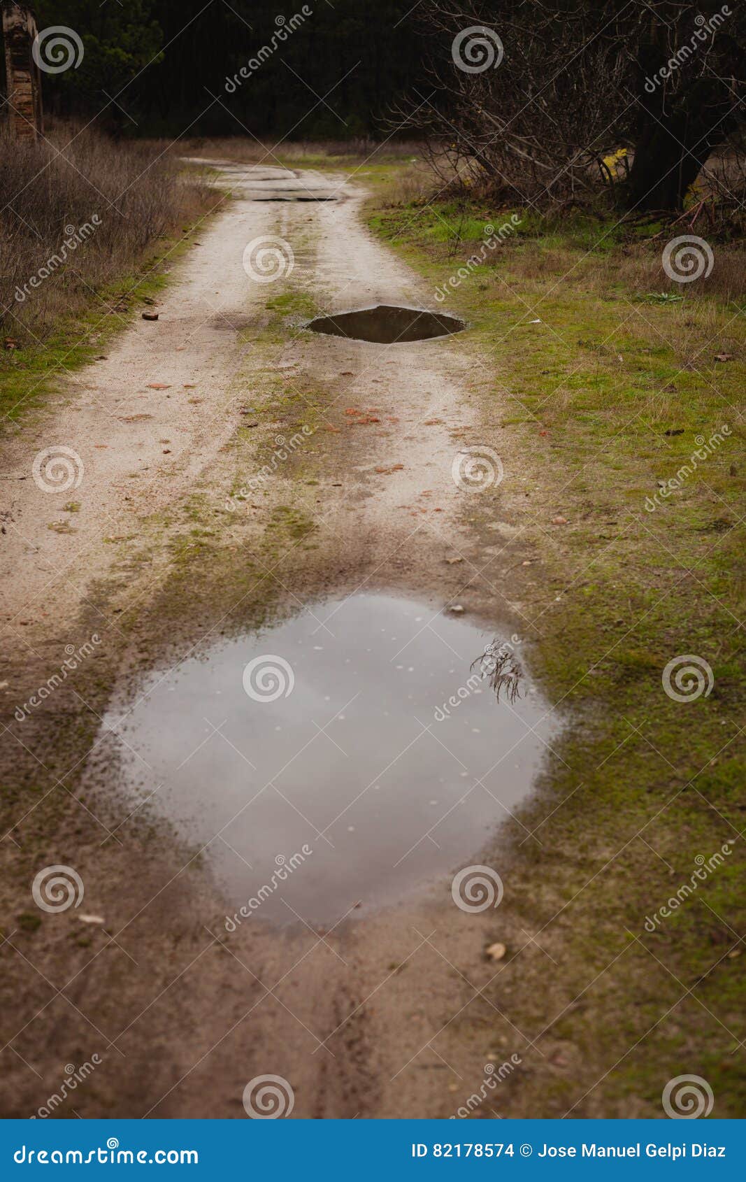 Puddles in the pathway stock photo. Image of rainy, brown - 82178574