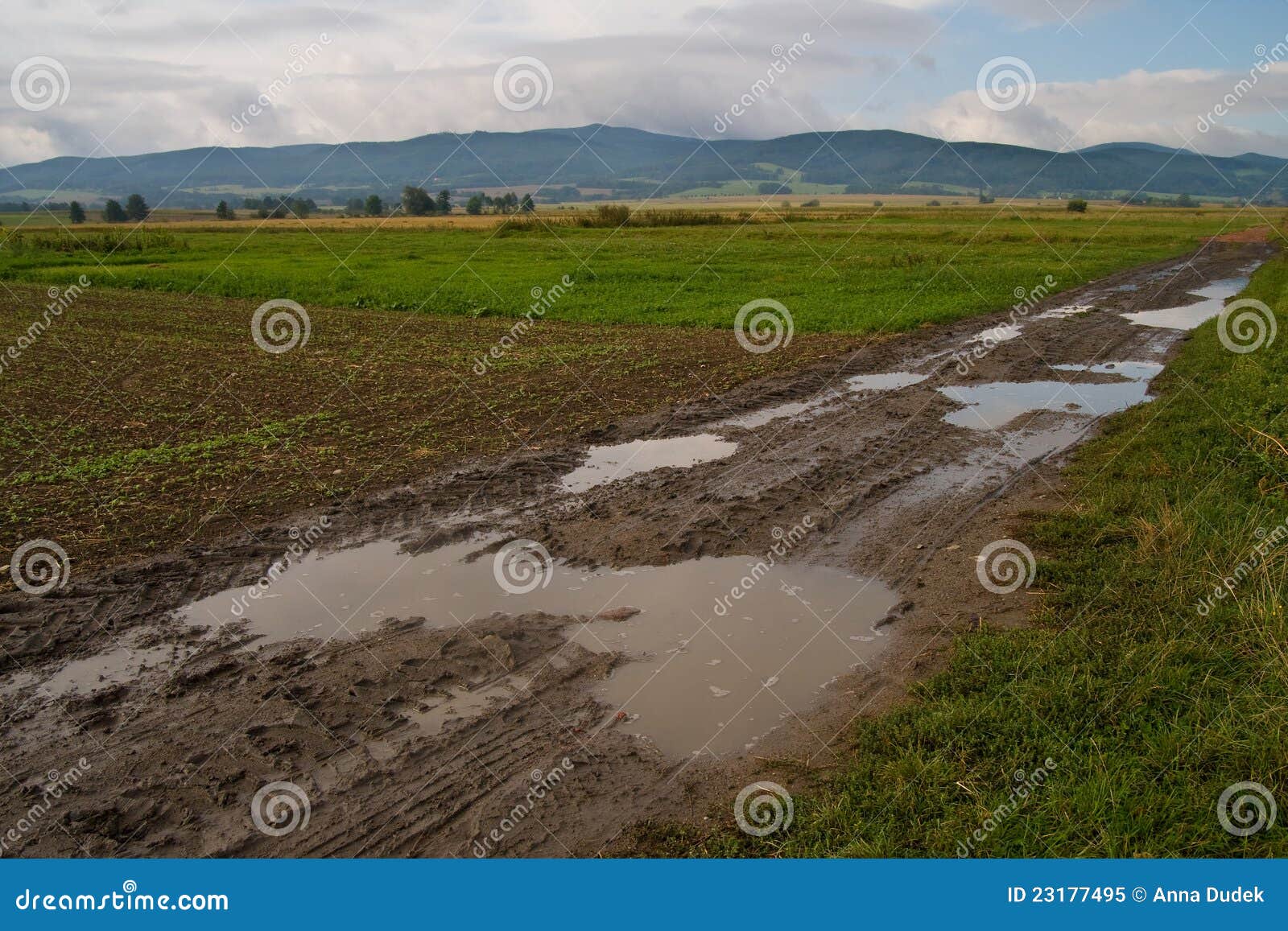 Puddles on a road stock image. Image of rural, road, poland - 23177495
