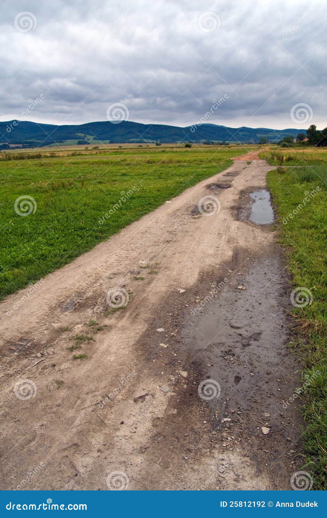 Puddles on a rural road stock photo. Image of water, standing - 25812192