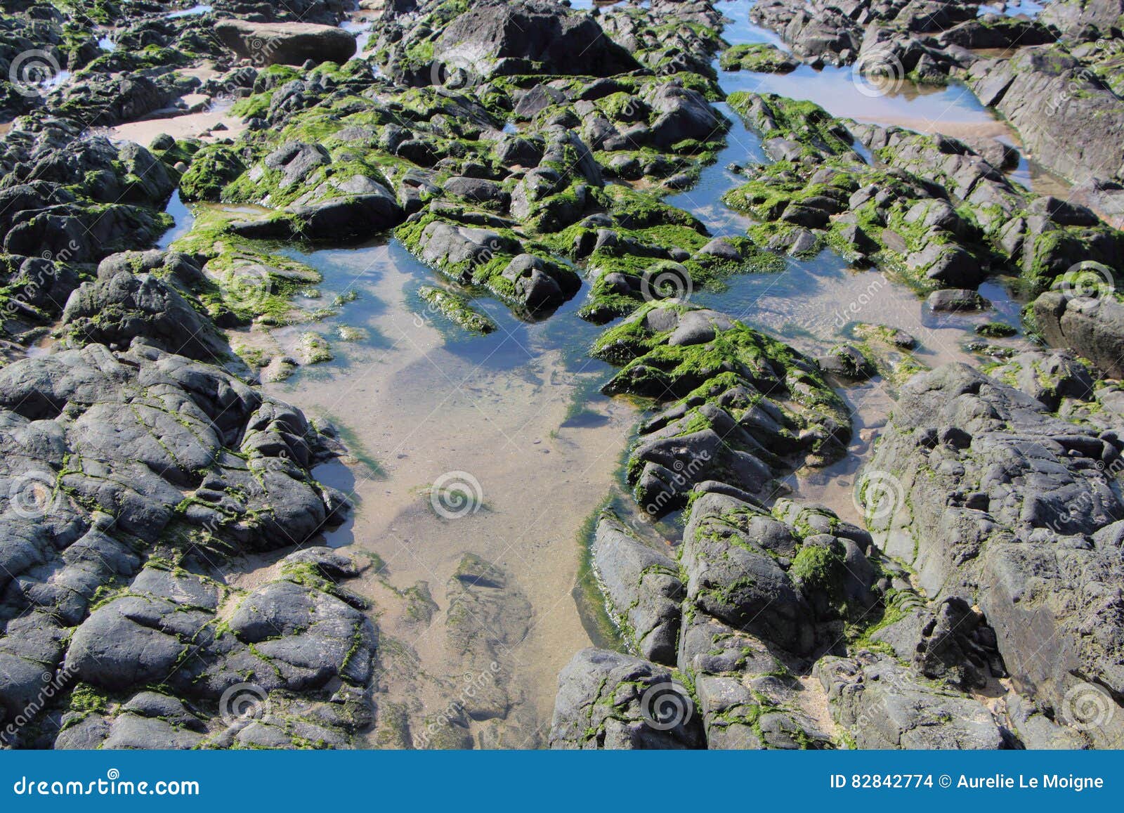 Puddles, Sand and Rocks of a Beach Stock Photo - Image of stone, rock ...