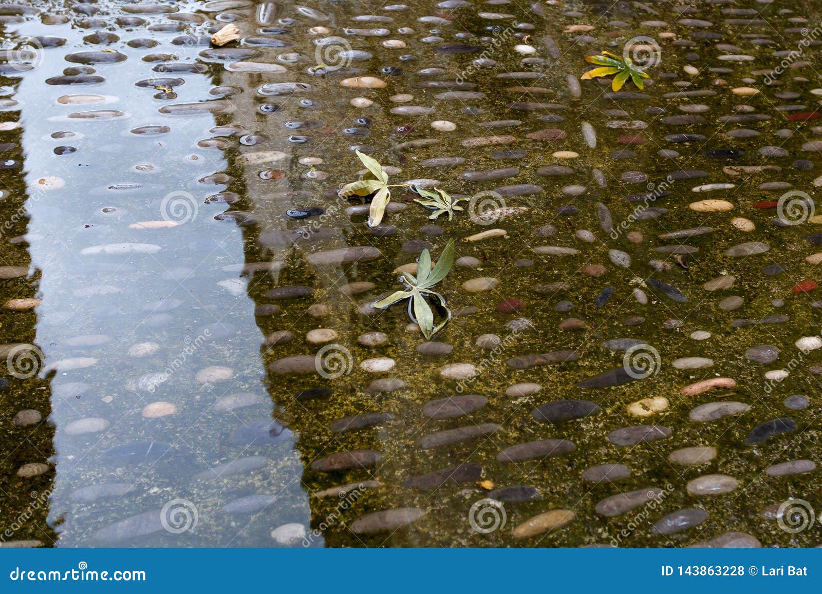 Puddles on the Sidewalk of Pebbles Stock Photo - Image of color ...