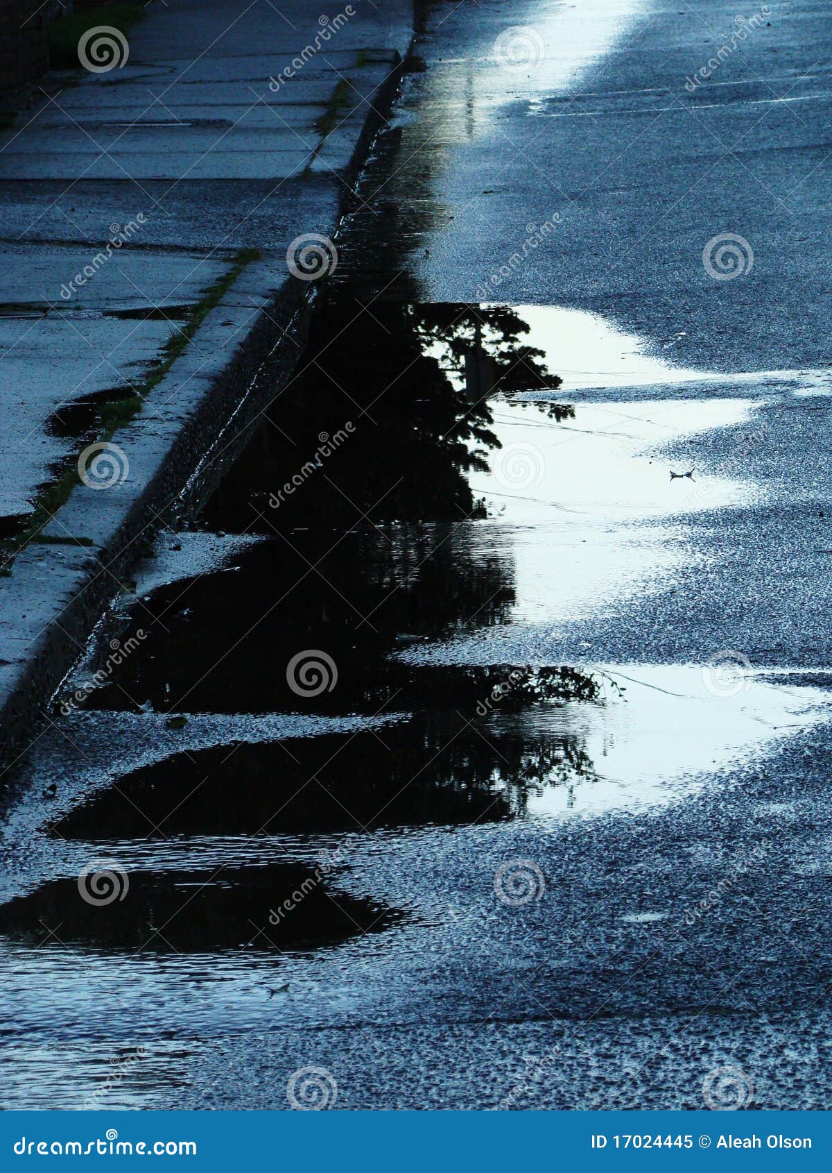 Puddles on the Street stock image. Image of lazy, water - 17024445