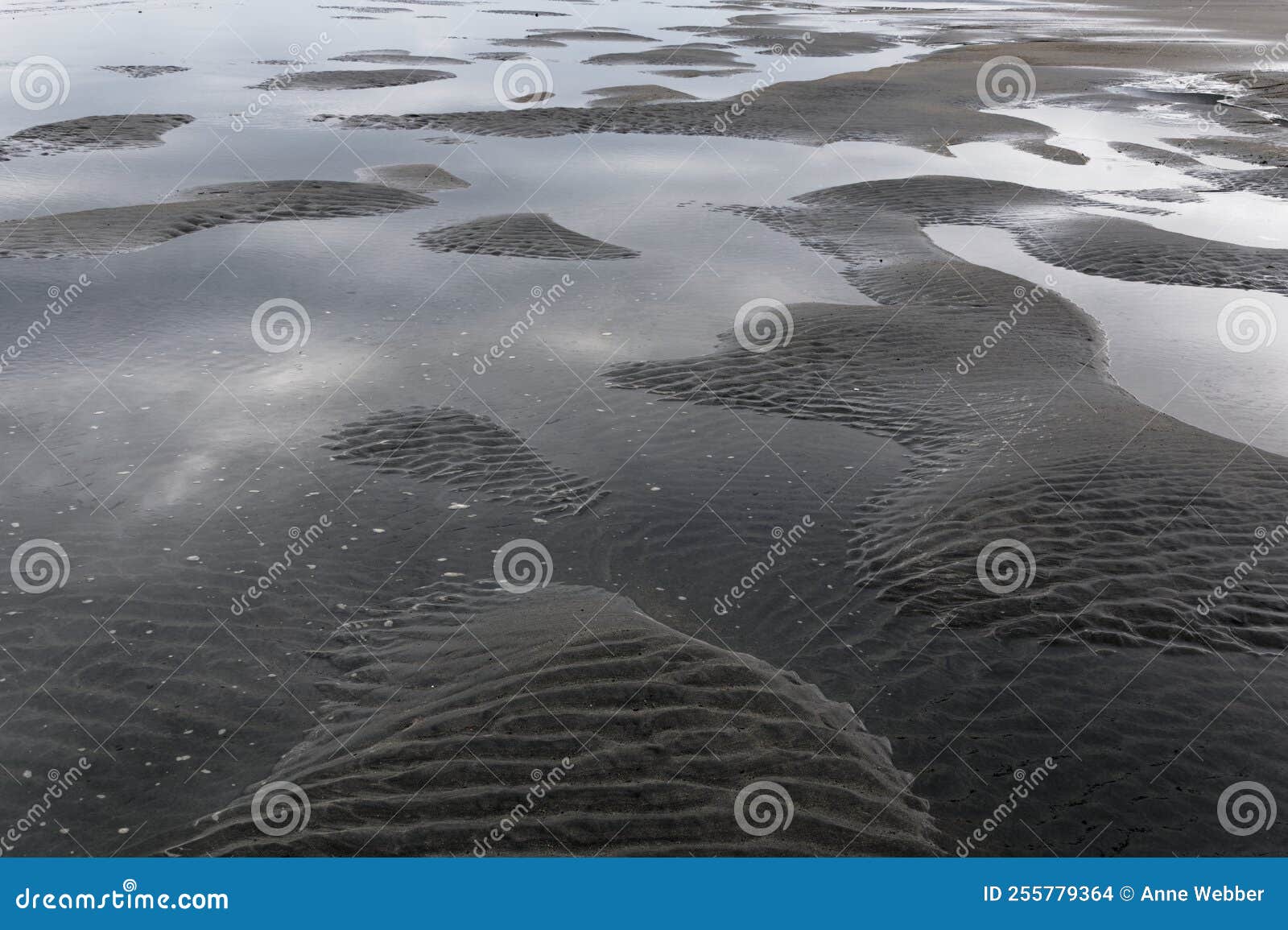 Puddles and Undulations in the Sand Caused by the Outgoing Tide Stock ...