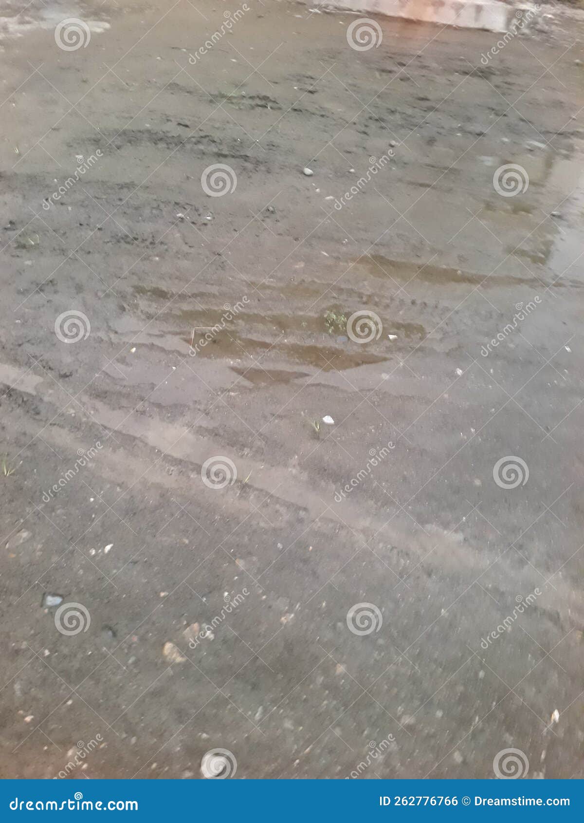 Puddles of Water on the Black Soil after a Very Heavy Rain Stock Photo ...